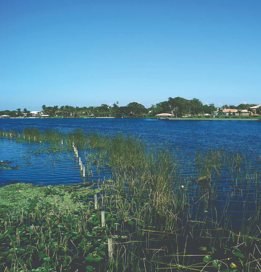 Lake Ida Homes for Sale & Real Estate - Premier Estate Properties